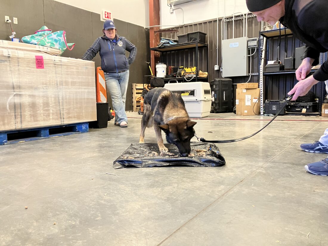 Lawrence’s ‘artistic’ police dogs and their charitable work to be ...